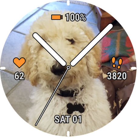 Customising Your Garmin Watch Face.